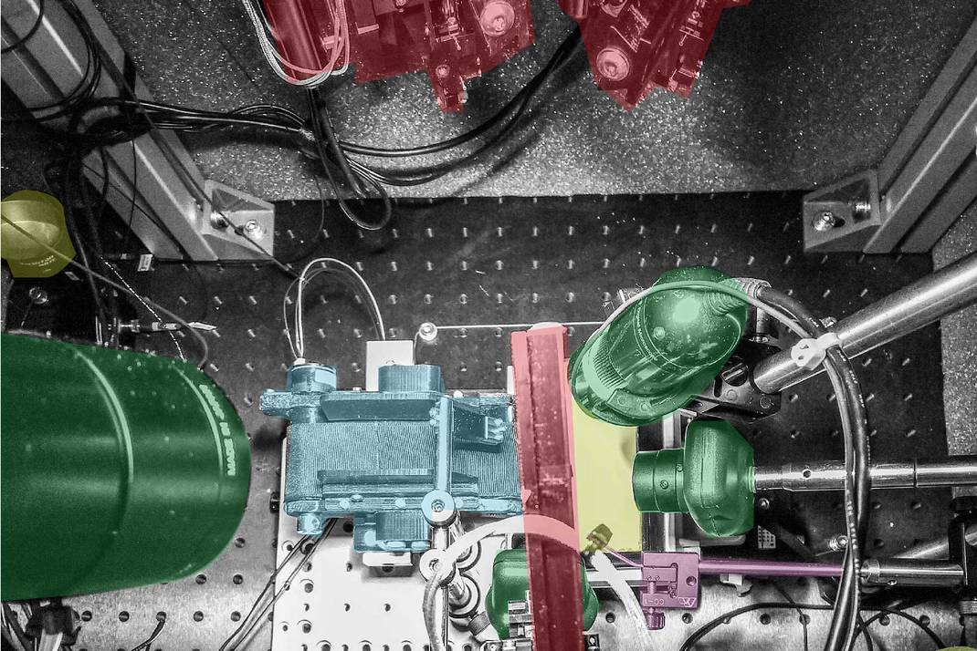 Rumbaugh Lab | Understand the links between Autism Spectrum Disorder (ASD) genetic risk ...